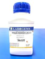 Buy LABOGENS SODIUM PHOSPHATE DIBASIC 500GM Online at Best Prices in ...