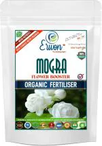 Buy Erwon Mogra Flower Booster, Premium Essential Powerful Organic ...