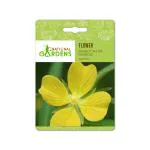 Buy National Gardens Seedbox Water Primrose Herb / Flower Seeds (100 ...