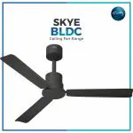 Buy Rally SKYE 1200mm BLDC 32W Motor 5 Star Rated Ceiling Fans with ...
