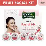 Buy Roop Mantra Fruit Facial Kit - 75g Online at Best Prices in India ...