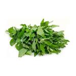 Buy Kechuaa Bathua Saag Vegetables Seeds For Home gardening Pack of 50 ...