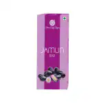 Buy Sugar Free Jamun Fruit Bar Online at Best Prices in India - JioMart.