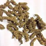 Buy Xetomos Natural Sundhabal root Mushkbala Bala Tagar Valeriana ...