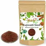 Buy Dirghaanshi Lajwanti Seeds,Lajwanti Beej,Chui-Mui,Mimosa Pudica ...