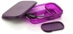 Buy Ranic Purple Plastic 2 Containers Lunch Box, 590 Ml Online at Best ...