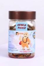 Buy Vasu'G Kerela Pickle | Homemade Pickle | 500gm | North Indian ...