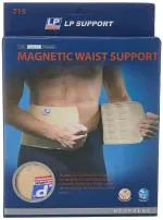 Buy LP Waist Suppor (Tan) Online at Best Prices in India - JioMart.