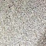 Buy Xetomos Anisoon Pimpinella Anisum Aniseed 100g Valaiti saunf ...