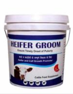 Buy Heifer Groom Calf Growth Powder Feed Supplement for Cow Cattle Farm ...