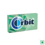 Buy Orbit Sweet Mint Sugarfree Chewing gum Imported (Pack Of 28) Online ...