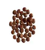 Buy Studio Seed Amaltas or Cassia fistula ( 30 Fresh Seeds) Online at Best Prices in India ...