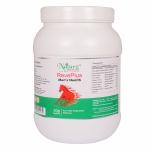 Buy Naturz Ayurveda Reveplus - 700 Capsules (Pack of 4) Online at Best ...