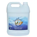 Buy SOULFRESH Liquid Soap Germ Protection & soft on hands Aqua 5ltr ...