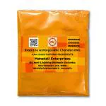 Buy Mahakali Enterprises Katra Brainine Ashtagandha Chandan Tilak ...