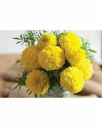 Buy Green World Organic Pusa Basanti Yellow Marigold Seeds 10 g Online ...