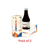Buy Ashwaveda Healthcare Uriheal Syrup - To Control Uric Acid Level ...