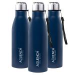 Buy AQUENCH COLA set of 3 Stainless Steel Colored Fridge Water Bottle ...