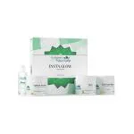 Buy Kulsum's Kaya Kalp Herbals Insta Glow Facial Kit for Women & Men ...