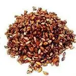 Buy Kapebonavista Anardana Seeds Anaar Kamphoi Dalimb Dalimba Madulai ...