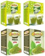 Buy Dharmasut Chatpata Jaljeera, Mint Powder, 50 G Each (Combo Of 4 ...