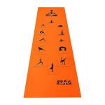 Buy Stag Yoga Mantra Asana Mat with Bag Online at Best Prices in India ...