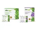 Buy Freshville Green Tea Bag, PCOD PCOS Tea Bag (2 Packs) Online at ...