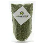 Buy Urban Seeds Whole Green Fennel Seeds Variyali Sauf, 1 Kg Online at ...