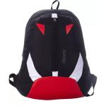 Buy iStorm Small 20 L Laptop Backpack Red & Black Backpack (Red, Black ...