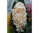 Buy PYANABI GARDEN Parijat Flower tree /Seuli Flower Plant harsingar ka ...