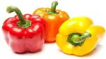 Buy PLATONE CAPSICUM(Pack Of200 per packet) Online at Best Prices in ...