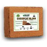 Buy Master Green Cocopeat Block Manure 5 Kg Online at Best Prices in ...