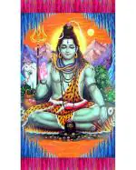 Buy Frimerr Shiva Bhole Digital Printed Polyester Window Curtain ...