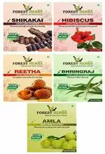 Buy The Forest Herbs Natural Care From Nature Sulphate Free Amla, Reetha, Shikakai, Bhringraj ...