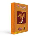 Buy GT Flower Pot Sambrani Cup Pack of 4 (12 Cups + 1 Free Burner Plate ...