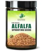 Buy Alfalfa Seeds Sprouting | Alfa Alfa Seeds for Eating Online at Best ...
