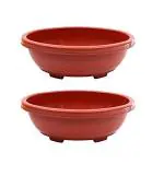Buy KOO Retails Bonsai Flower Pots - 12 inch Teracotta Color Oval ...