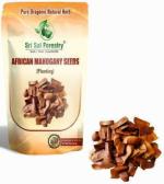 Buy Tamransh Sri Sai Forestry Swietenia Mahogany, African Mahogani Tree ...