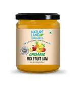 Buy Natureland Organics Mix Fruit Jam 250 Gm - Healthy Organic Jams ...