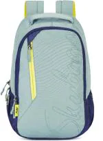 Buy Skybags Campus | 30L | Laptop Backpack | Polyester | Grey Online at Best Prices in India ...