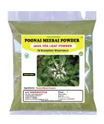 Buy 3V Products Poonai Meesai Powder, 25 G (Pack Of 2) Online at Best ...