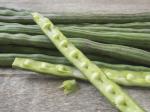 Buy TRICONE Sem Fali Seeds, 100 Per Packet Online at Best Prices in ...
