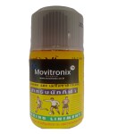 Buy Movitronix Namman Muay Thai Boxing Liniment 450ml Pack of 1 ...