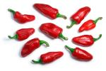 Buy Green World Drought Resistant Chilli Pepper Sky Bor 50 Seeds (Pack ...