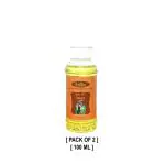 Buy RAYZIL Pack of 2 Rayzil Sukhad Chandan Hair Oil 100ml - Cooling and ...