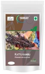 Buy Yamkay Organic Kattu kambu | Pearl milllet | Bajra | Sajjalu (Pennisetum glaucum) 500 gm ...