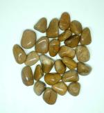 Buy Schmick Brown(Camel) Pebbles for Decoration - Pebbles for Plants ...