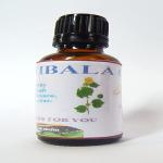 Buy Xetomos KANGHI ATIBALA BALBEEJ INDIAN MALLOW ABUTILON INDICUM ...