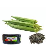 Buy JIGNISHA SEEDS Green Bhindi Seeds Vegetable Seeds For Planting Pack ...