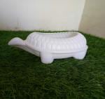 Buy Aenox turtle pot for plants -A26 Online at Best Prices in India ...